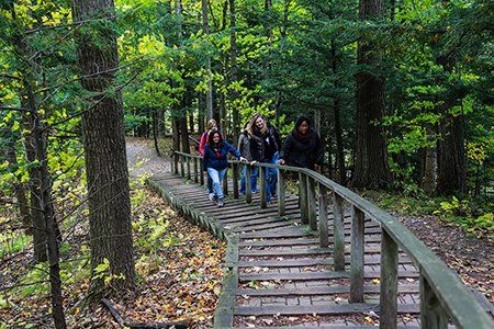 Web Design & Development, Mobile Web Design, App Development in London ...